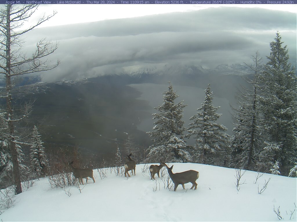 Glacier National Park, MT Weather Cams - Montana Webcams