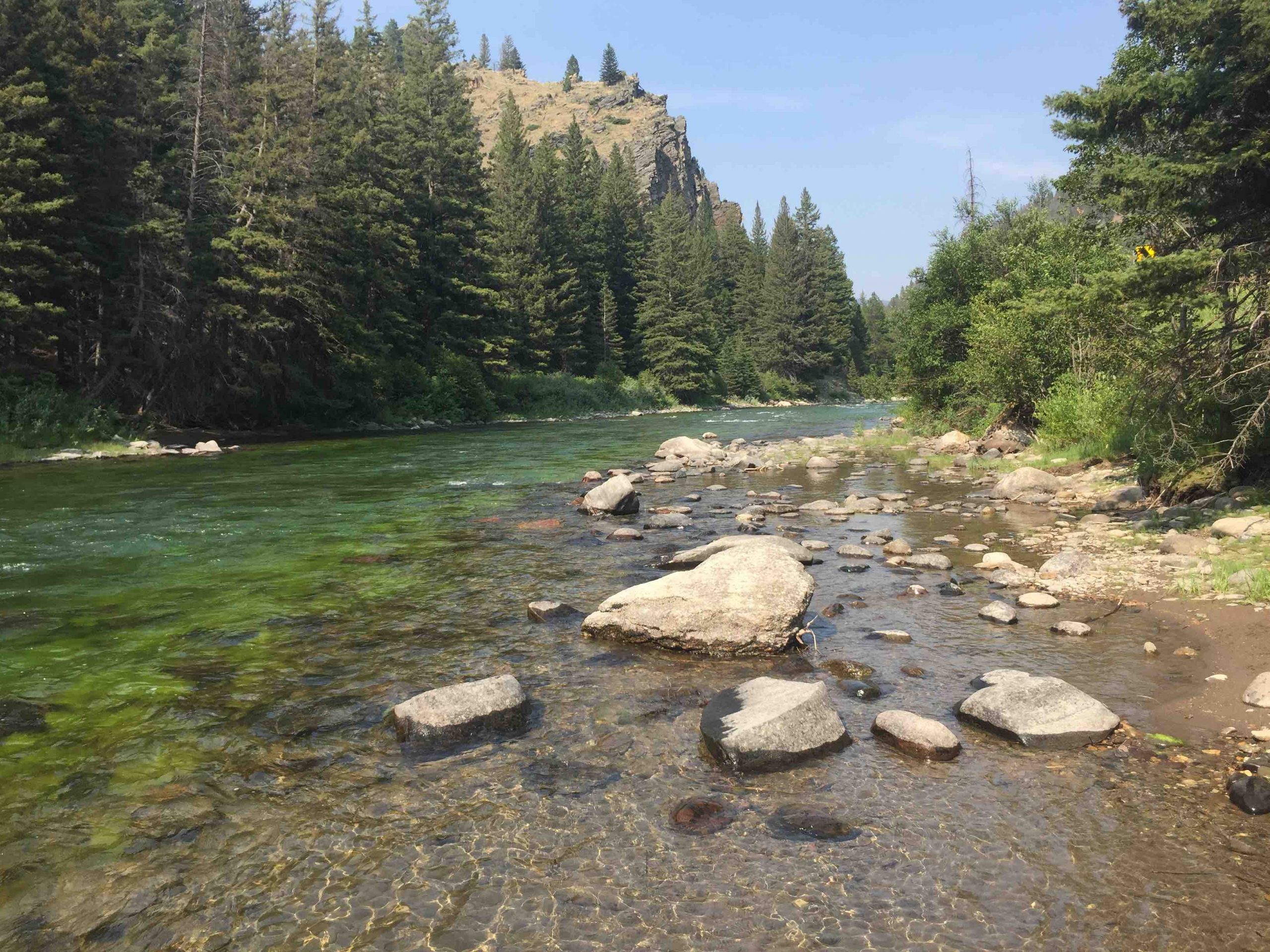 Gallatin River, MT Weather Cams - Montana Webcams